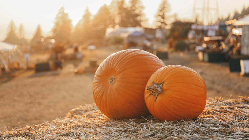 10 Fall Festivals to Enjoy with Your Family in Oklahoma City